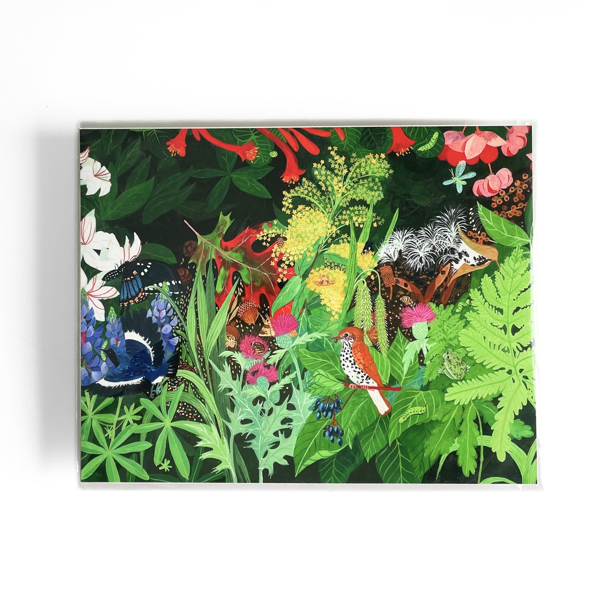 The Brilliance of Biodiversity Cover Print – Wild Seed Project