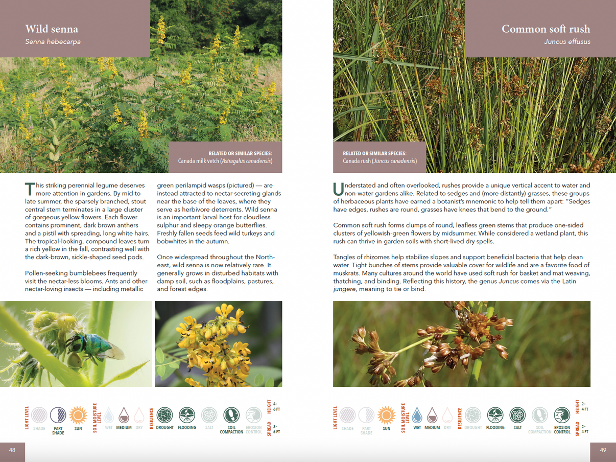 Planting for Climate Resilience in Northeast Landscapes: A Wild Seed P ...