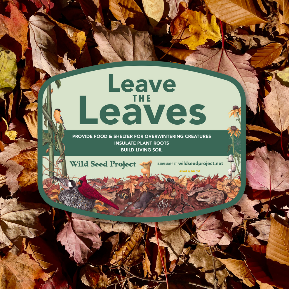 Leave the Leaves Yard Sign – Wild Seed Project