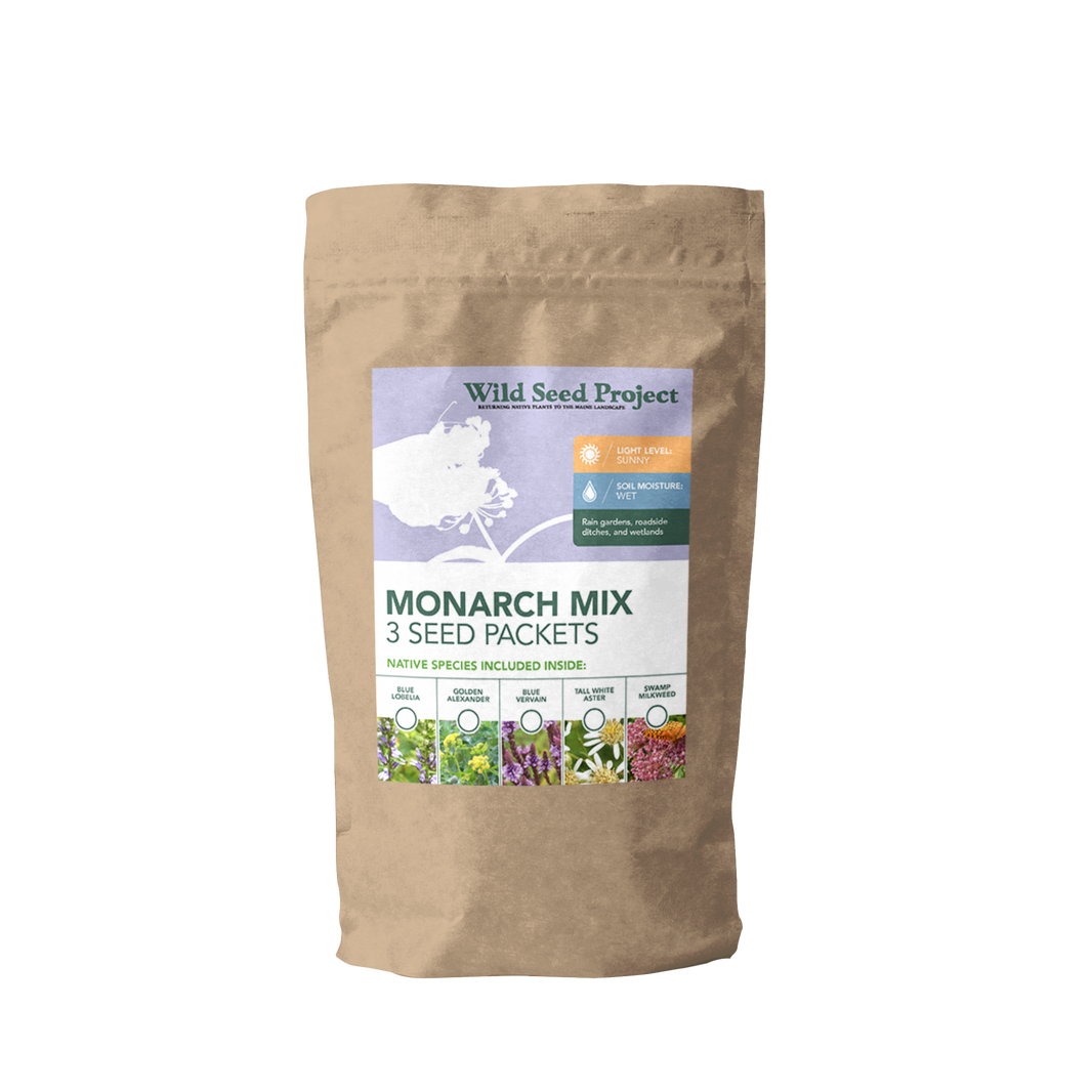 Native Seeds for Sale – Wild Seed Project