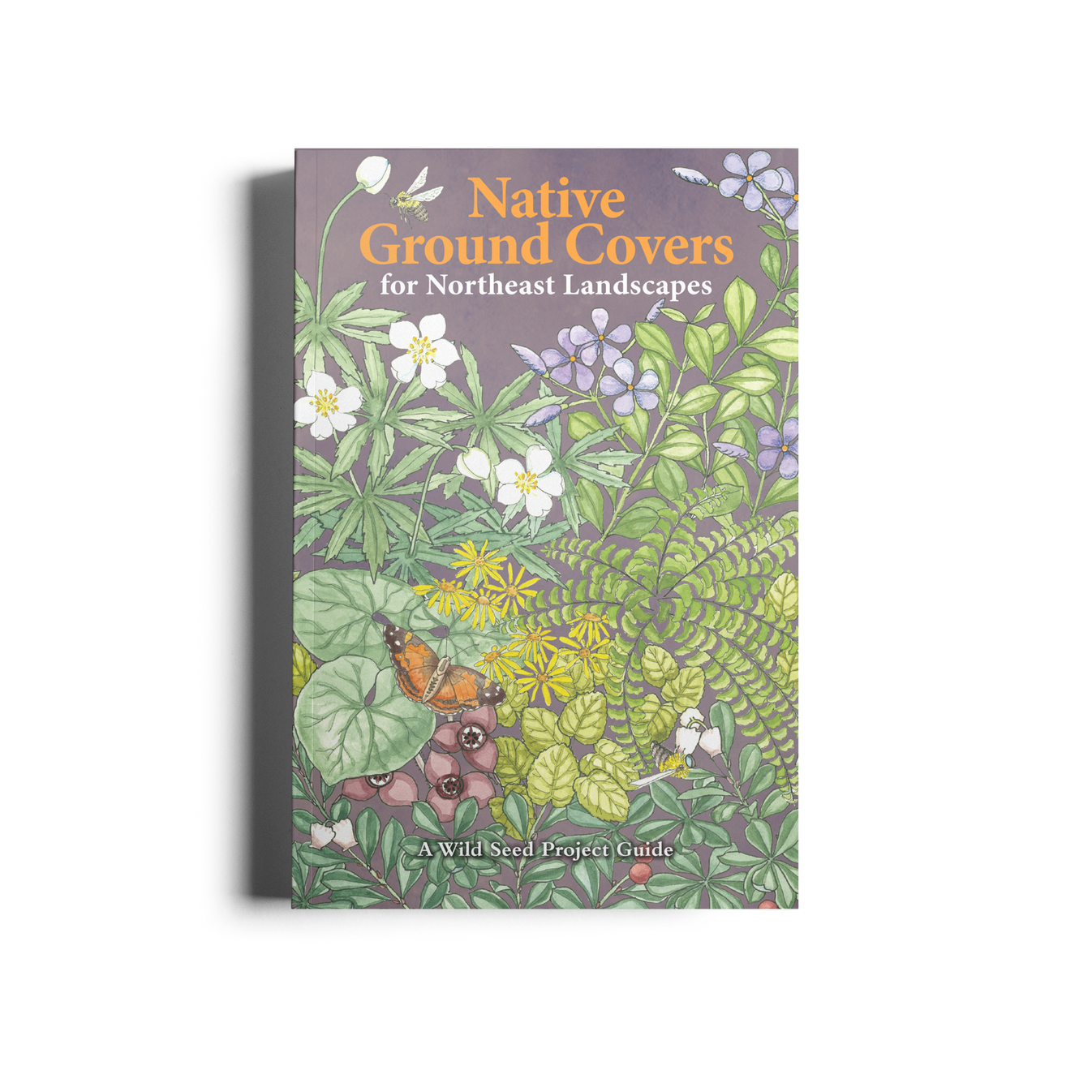 Native Ground Covers for Northeast Landscapes: A Wild Seed Project Gui