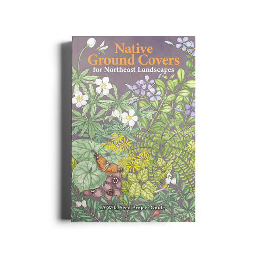 Native Ground Covers for Northeast Landscapes: A Wild Seed Project Gui