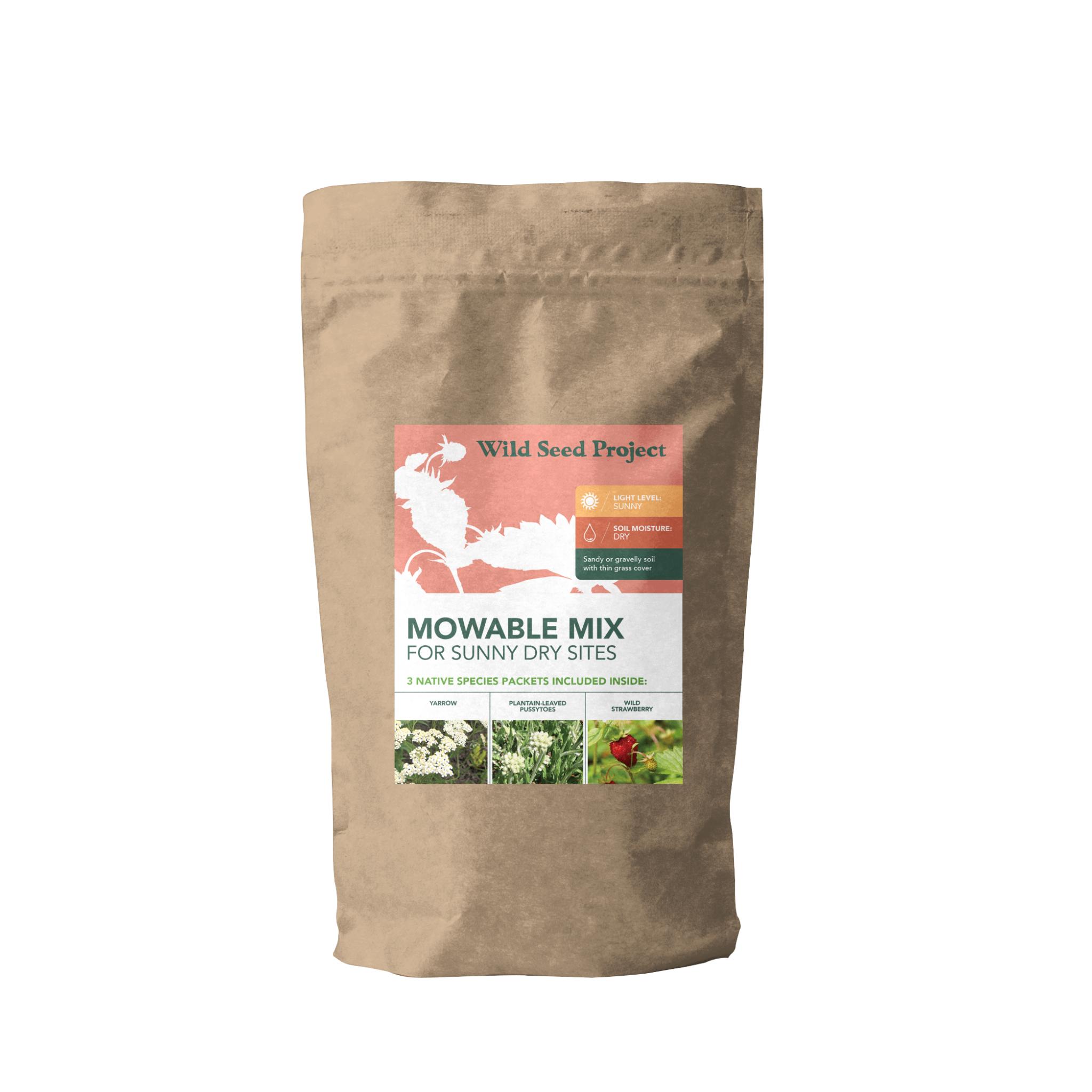 Mowable Mix for Sunny Dry Sites – Wild Seed Project