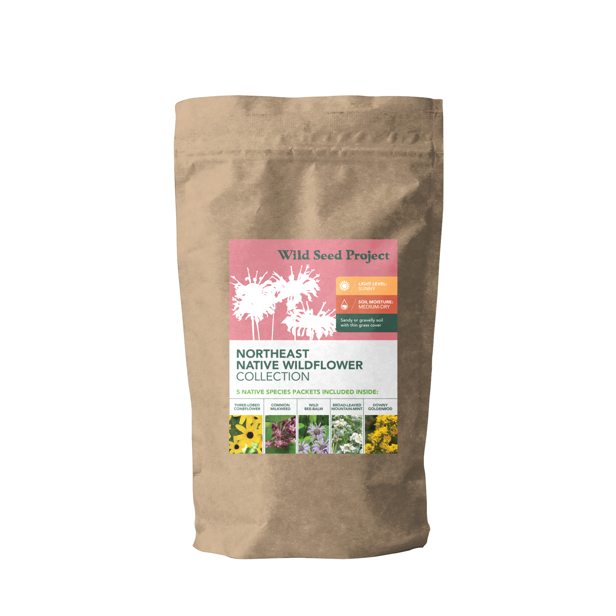 Northeast Native Wildflower Collection – Wild Seed Project
