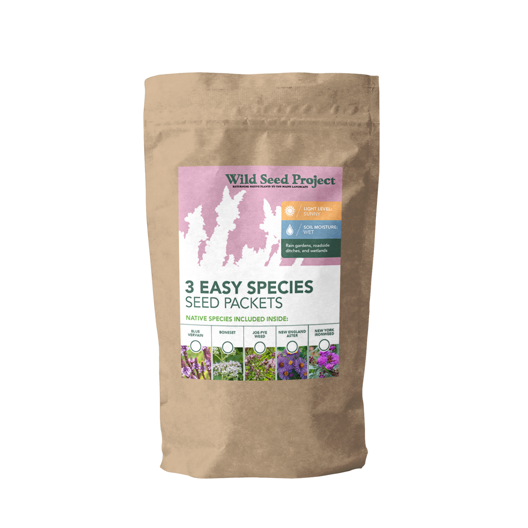 Native Seeds for Sale – Wild Seed Project